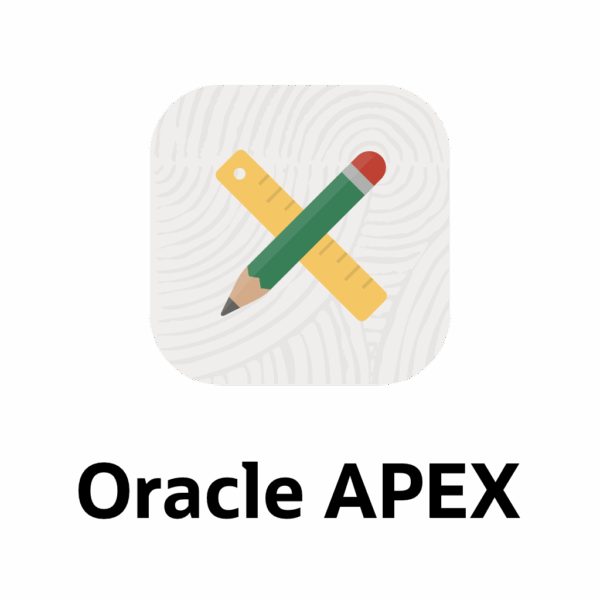 Creating An Application In Oracle Apex A Step By Step Guide Digi Hindustan